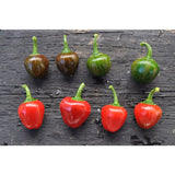 Sweet Red Cherry Pepper (75 Days) – Pinetree Garden Seeds