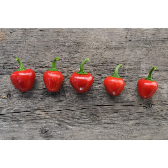 Sweet Red Cherry Pepper (75 Days) – Pinetree Garden Seeds