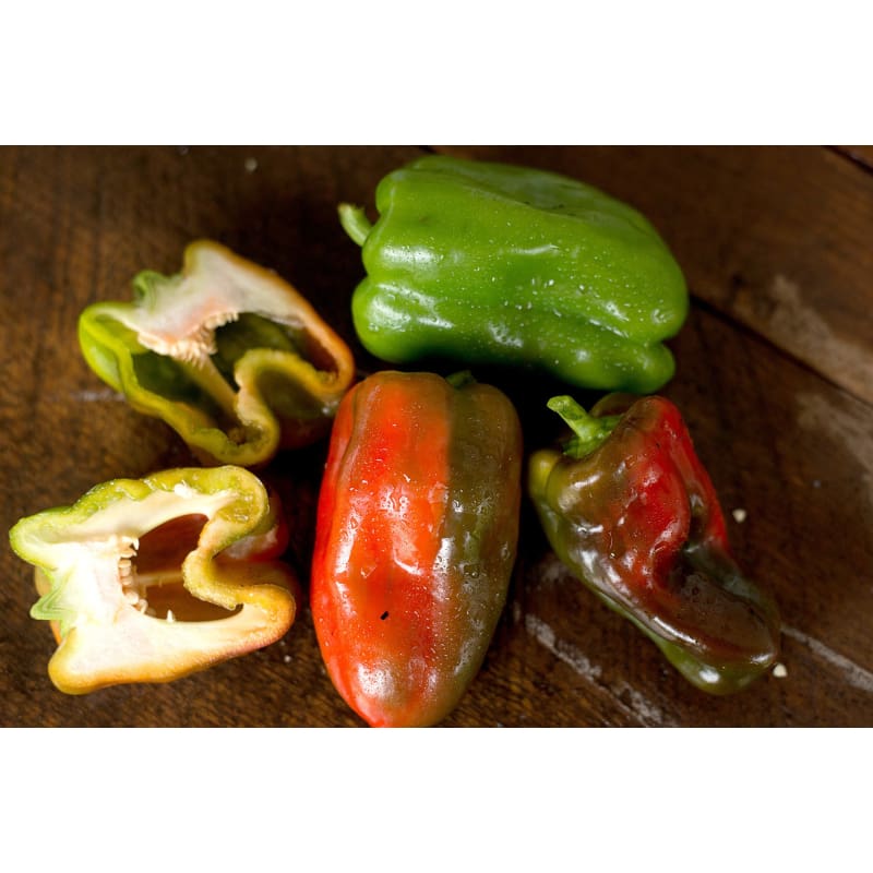 Takii's New Ace Pepper (F1 Hybrid 62 Days) – Pinetree Garden Seeds
