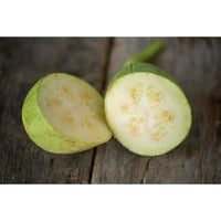 Tatume Summer Squash (Heirloom, 50 days)