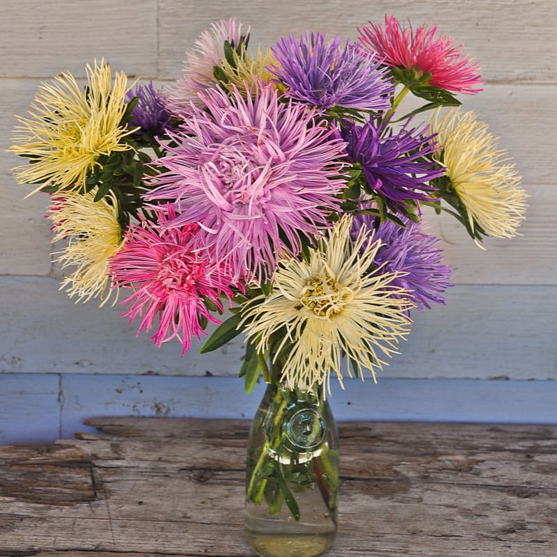 Flower seeds | 21