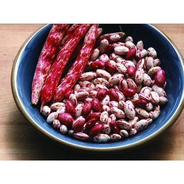 Vegetables – Pinetree Garden Seeds
