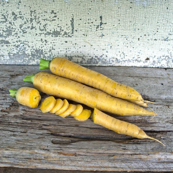 Yellowstone Carrot (Organic 75 Days ) – Pinetree Garden Seeds